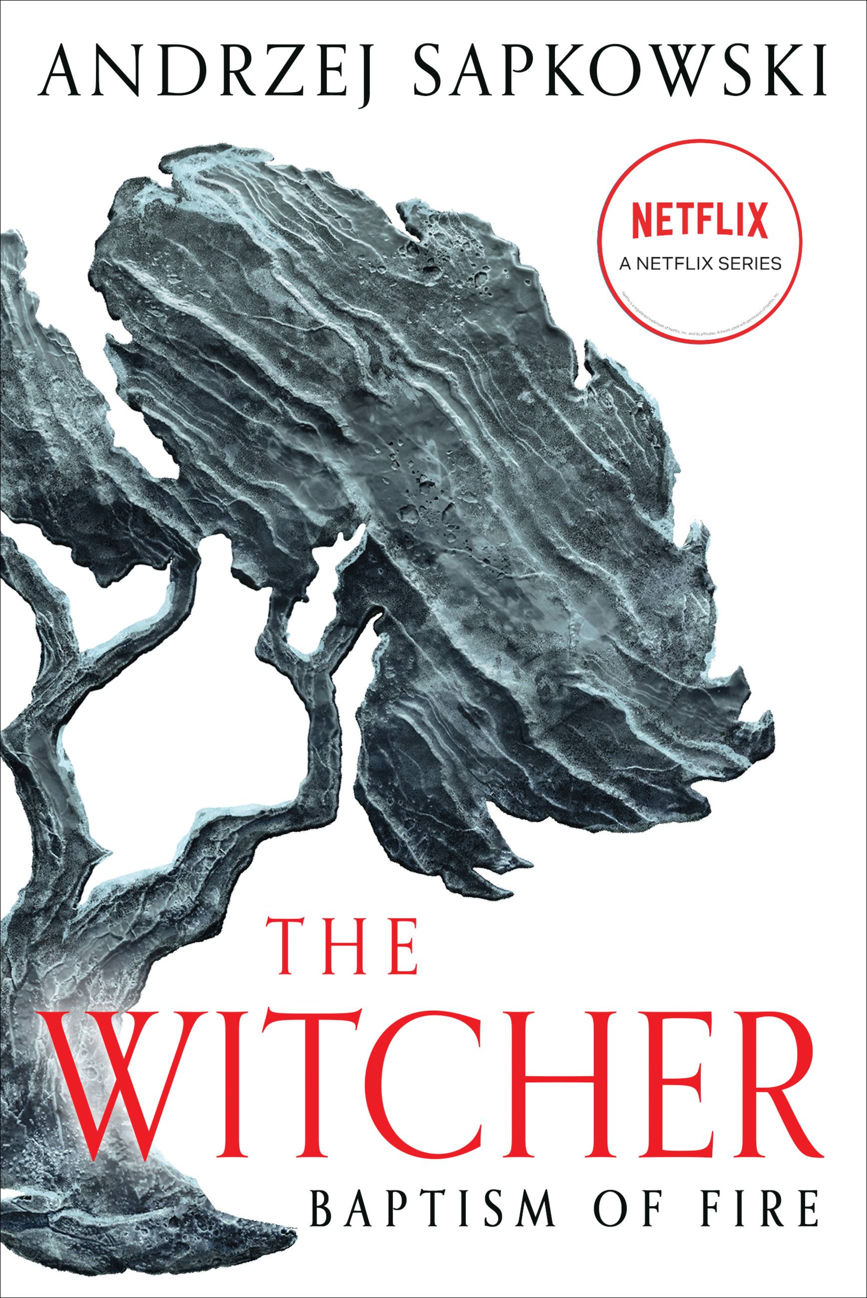 Read the Witcher – Ebook Editions | Read the Witcher