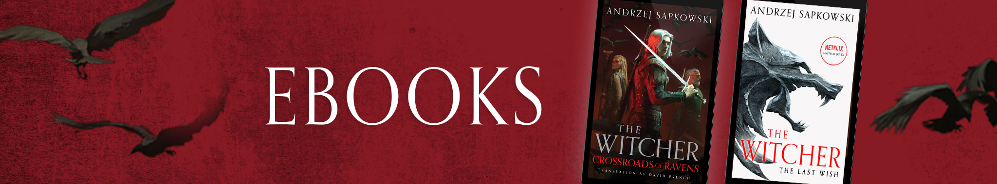 Read the Witcher – Ebook Editions | Read the Witcher